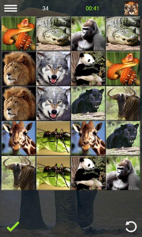 Animals Memory Game - App on Amazon Appstore