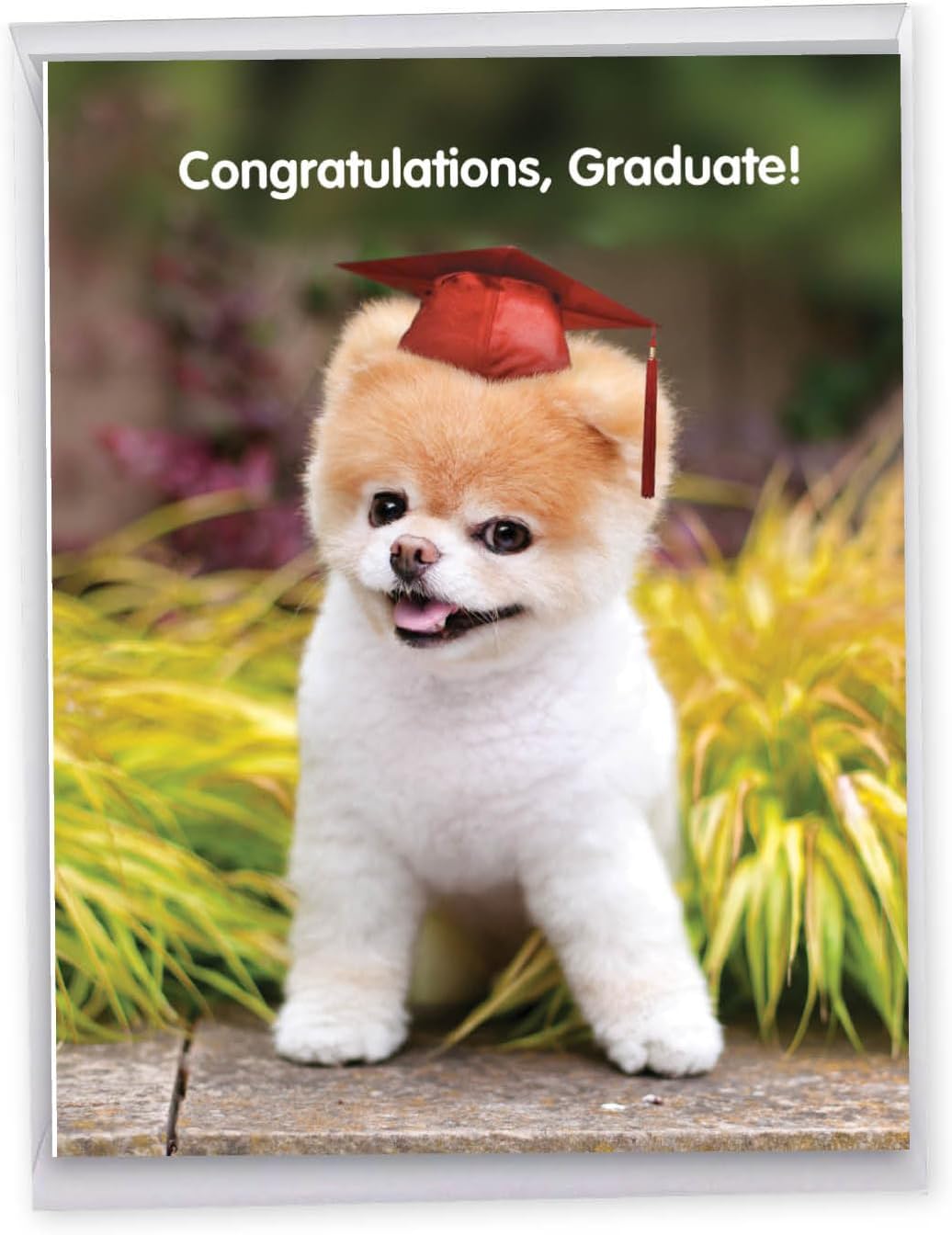 Amazon.com : The Best Card Company - Big Graduation Greeting Card (8.5 ...