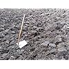 Agronova Stainless Steel Kassi Spade Hoi for Gardening and Agricultural ...