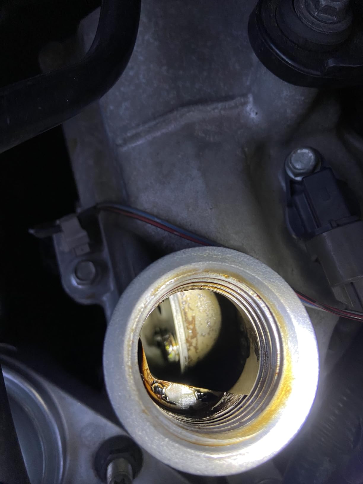 Amazon | ワコーズ ECP eクリーンプラス 遅効性エンジン内部洗浄剤 E170 100ml E170 | 洗浄剤 | 車＆バイク