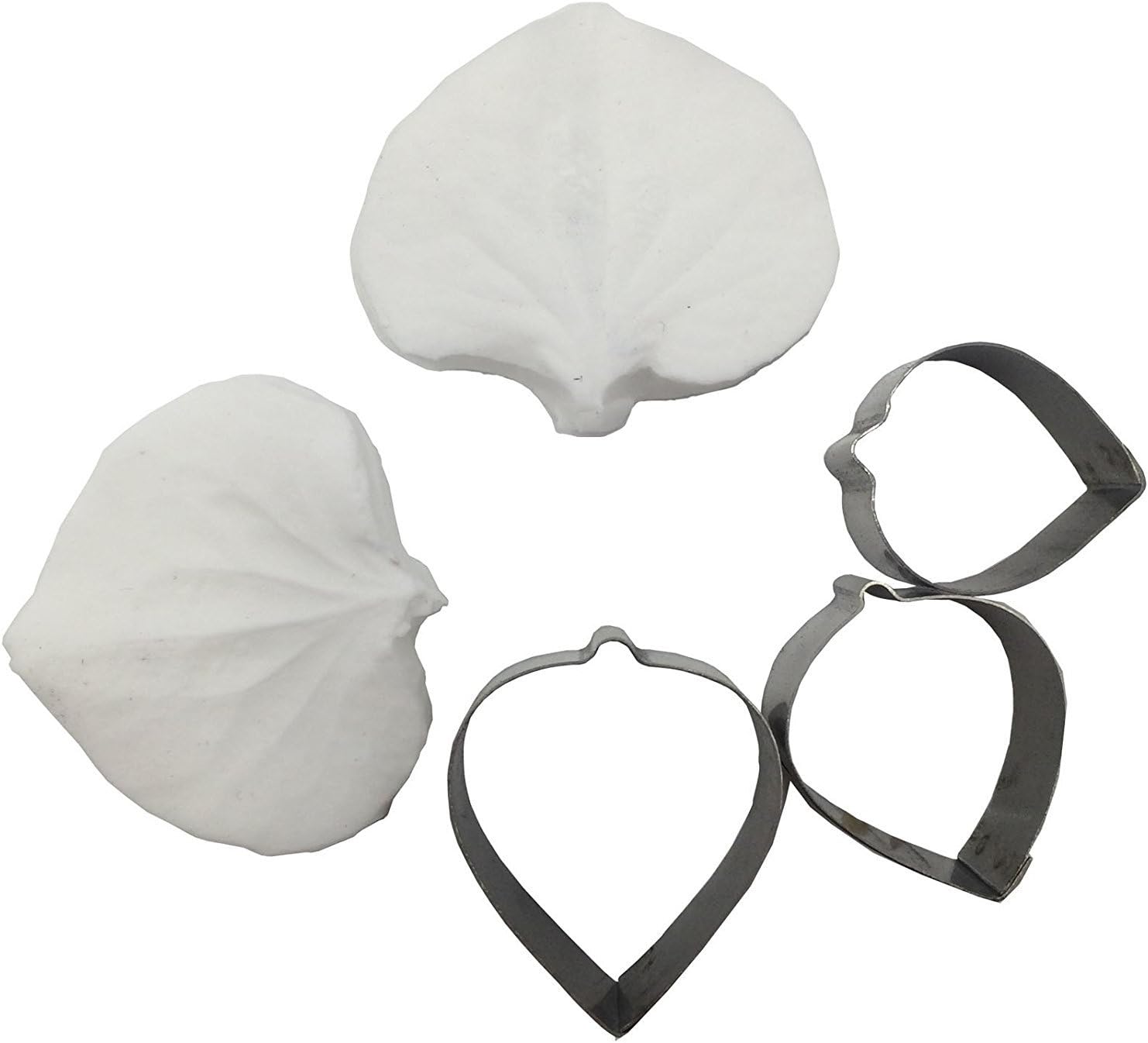 Amazon.com: Funshowcase Hydrangea Macrophylla Flower Floret Petal 3 ...