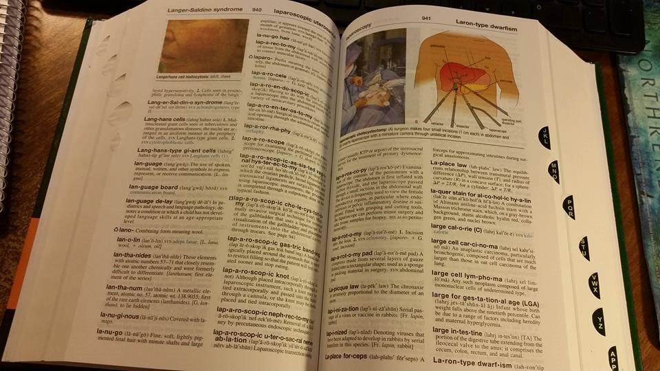 Stedman's Medical Dictionary for the Health Professions and Nursing 7th ...