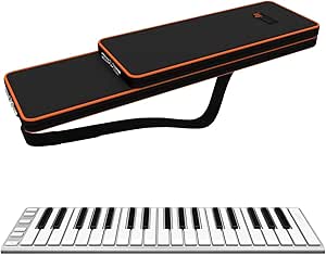 Amazon.com: Xkey 37 MIDI Keyboard Controller & Solar Protective Case ...