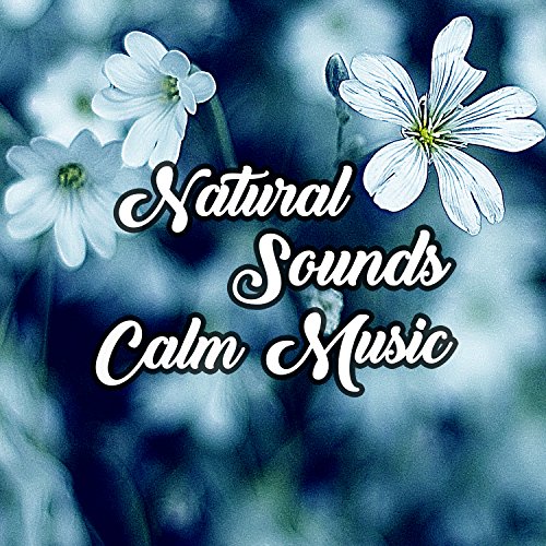 Play Natural Sounds Calm Music – Music for Relaxation, Healing Water ...