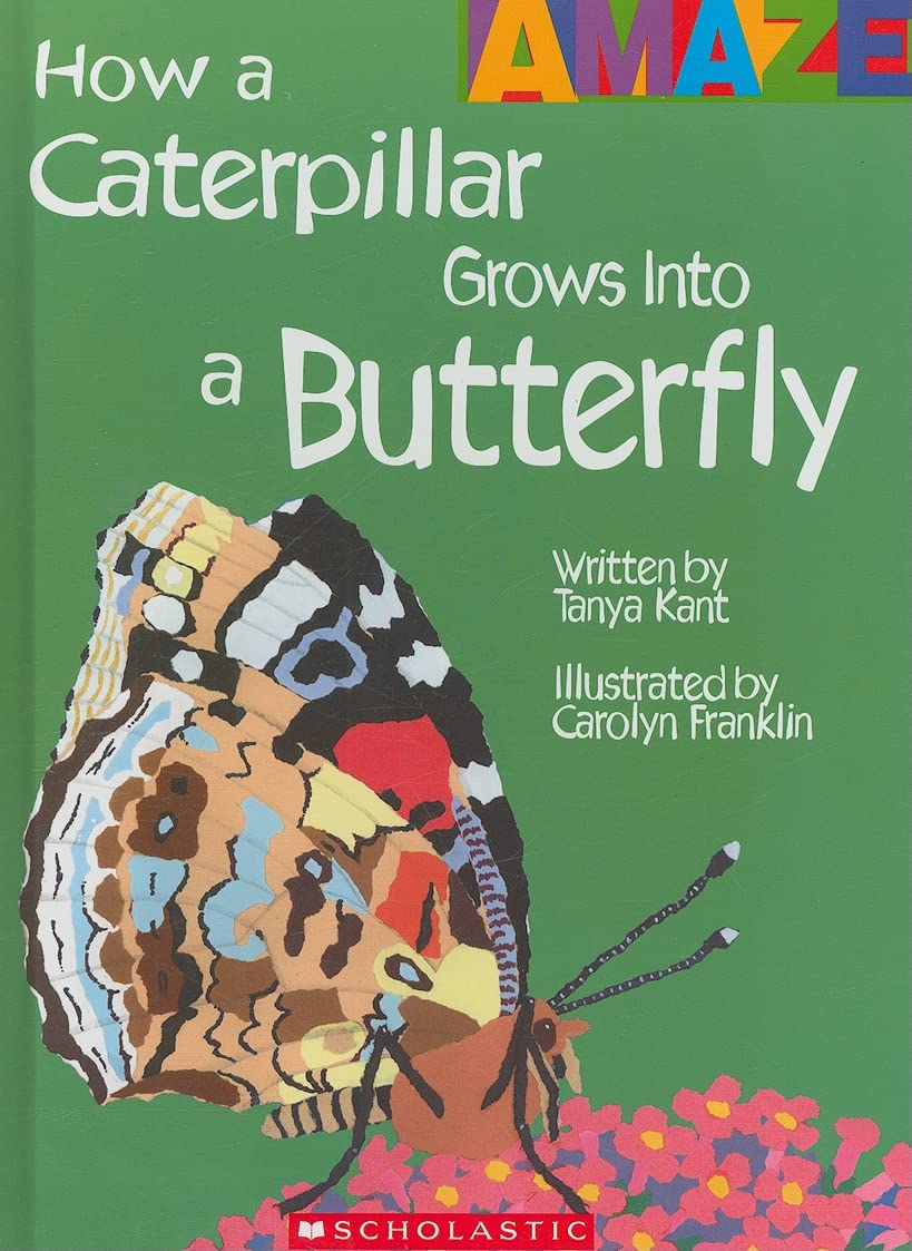 How a Caterpillar Grows Into a Butterfly (Amaze) (Library Edition ...