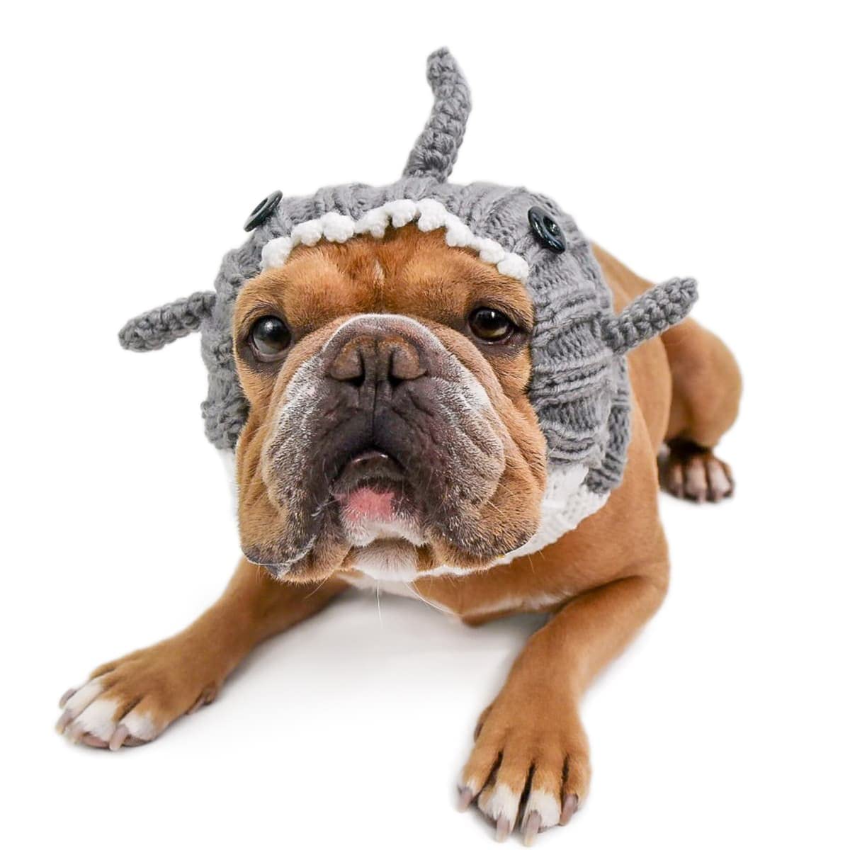 Zoo Snoods Grey Rhino Horned Dog Costume With Ear Covers