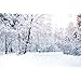 Amazon.com : Yeele 15x10ft Winter Snowscape Photography Backdrops White ...