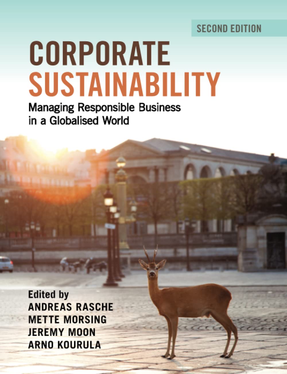 Corporate Sustainability: Rasche, Andreas: 9781009114929: Amazon.com: Books