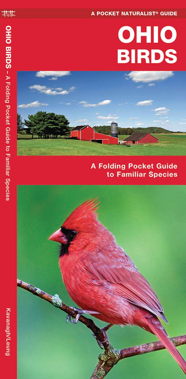 Ohio Birds: A Folding Pocket Guide to Familiar Species (Nature ...