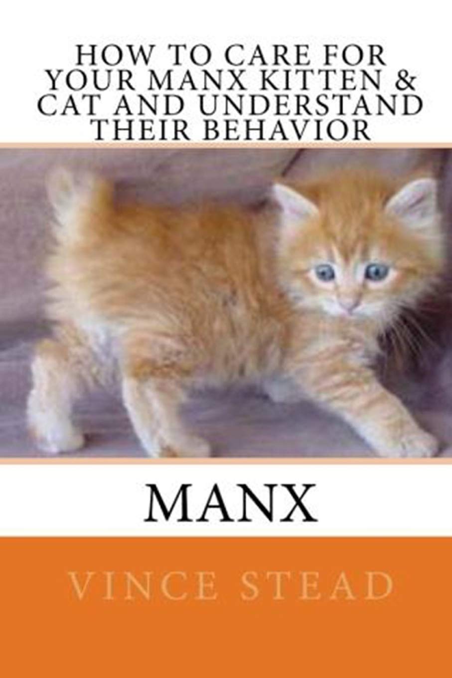 Manx Memes A Clawssic Cat Child Collection Of 24 Relatable Memes Of