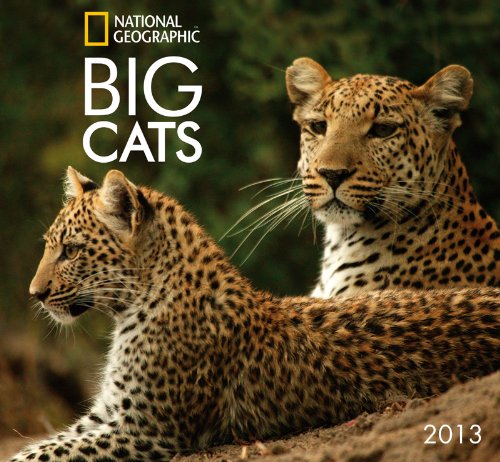 National Geographic Big Cats 2013 Calendar: Zebra Publishing Corp ...