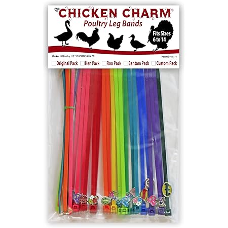 Amazon.com: 20 Chicken Charm Poultry Leg Bands - Includes Americas ...