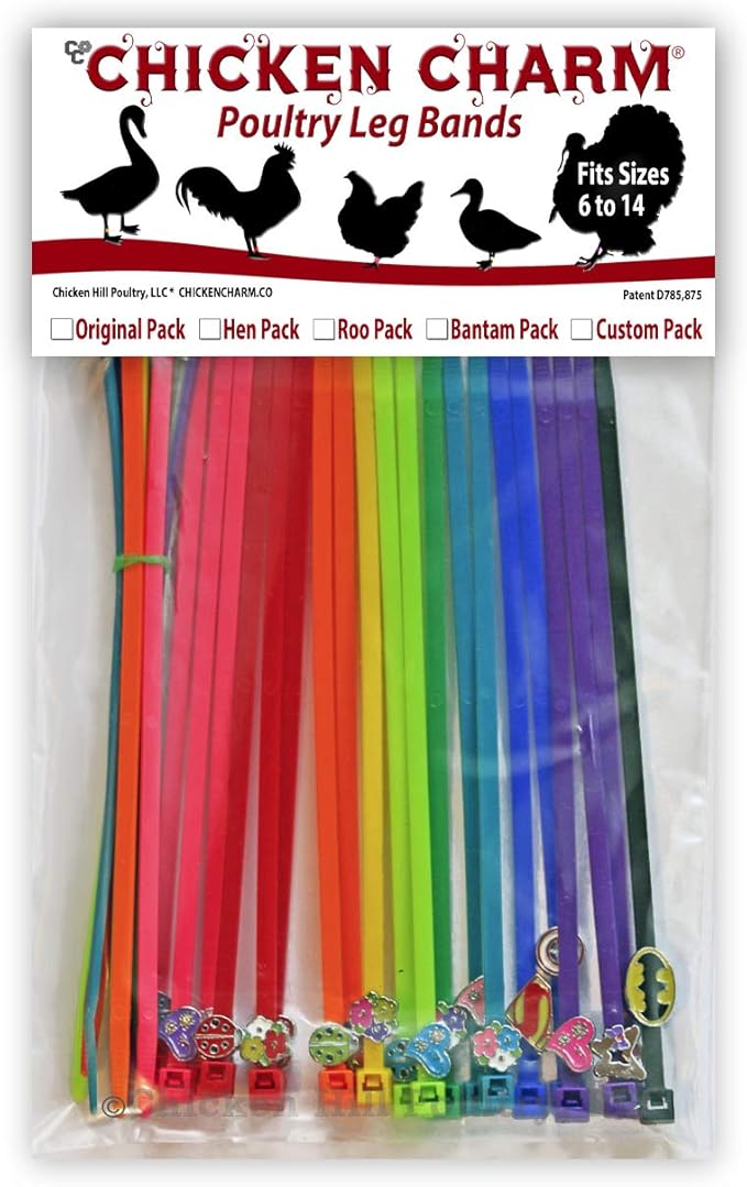 Amazon.com : 20 Chicken Charm Poultry Leg Bands - Includes Americas ...