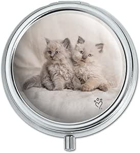 Amazon.com: Miradoll Ragdoll Kitten Best Friends Pill Case Trinket Gift ...