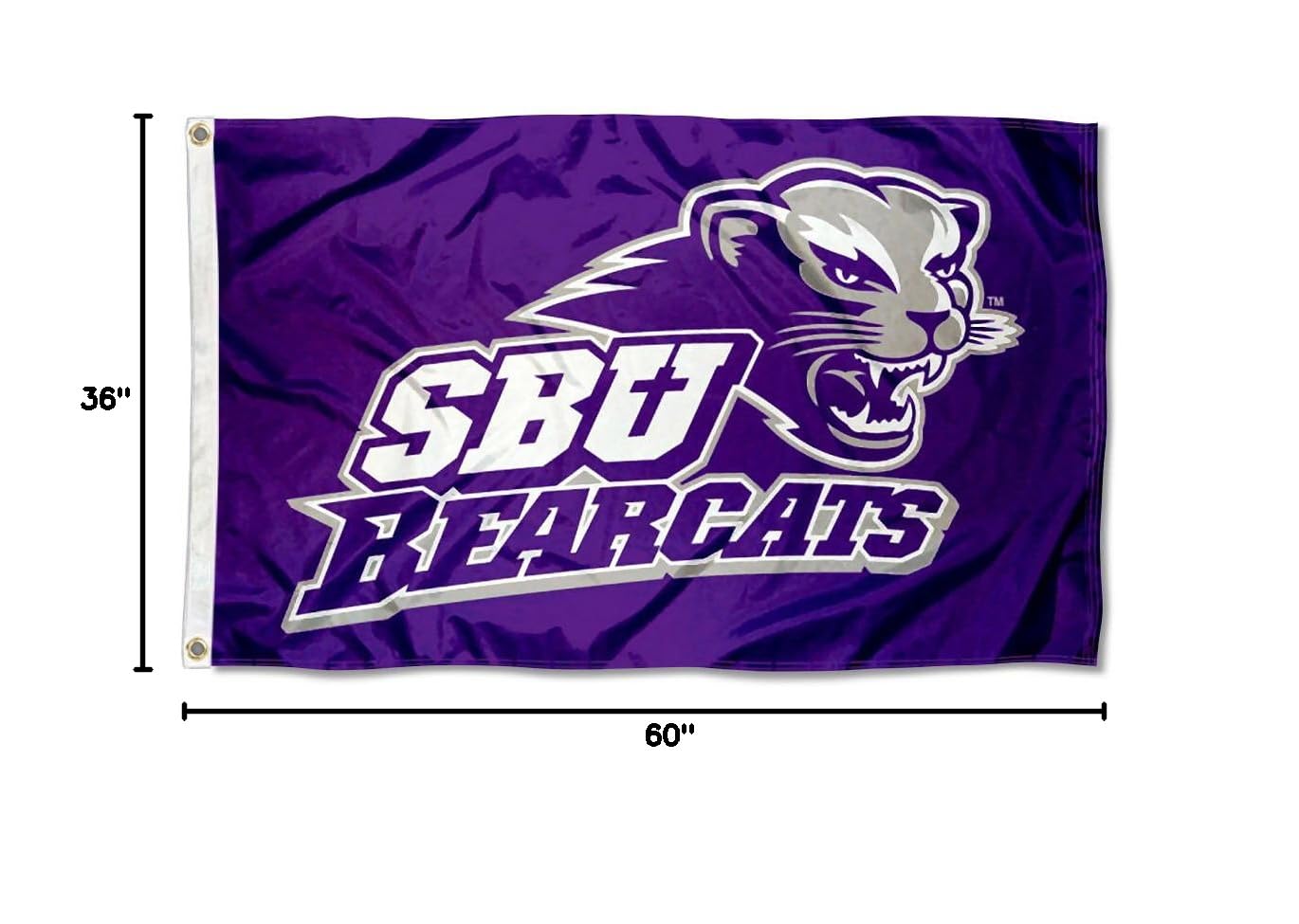 Southwest Baptist Bearcats Color Codes Hex, RGB, And CMYK - Team Color ...