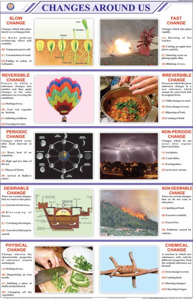 Buy STP02 | TeachingNest | Changes Around Us Chart (58x90 cm) | English ...