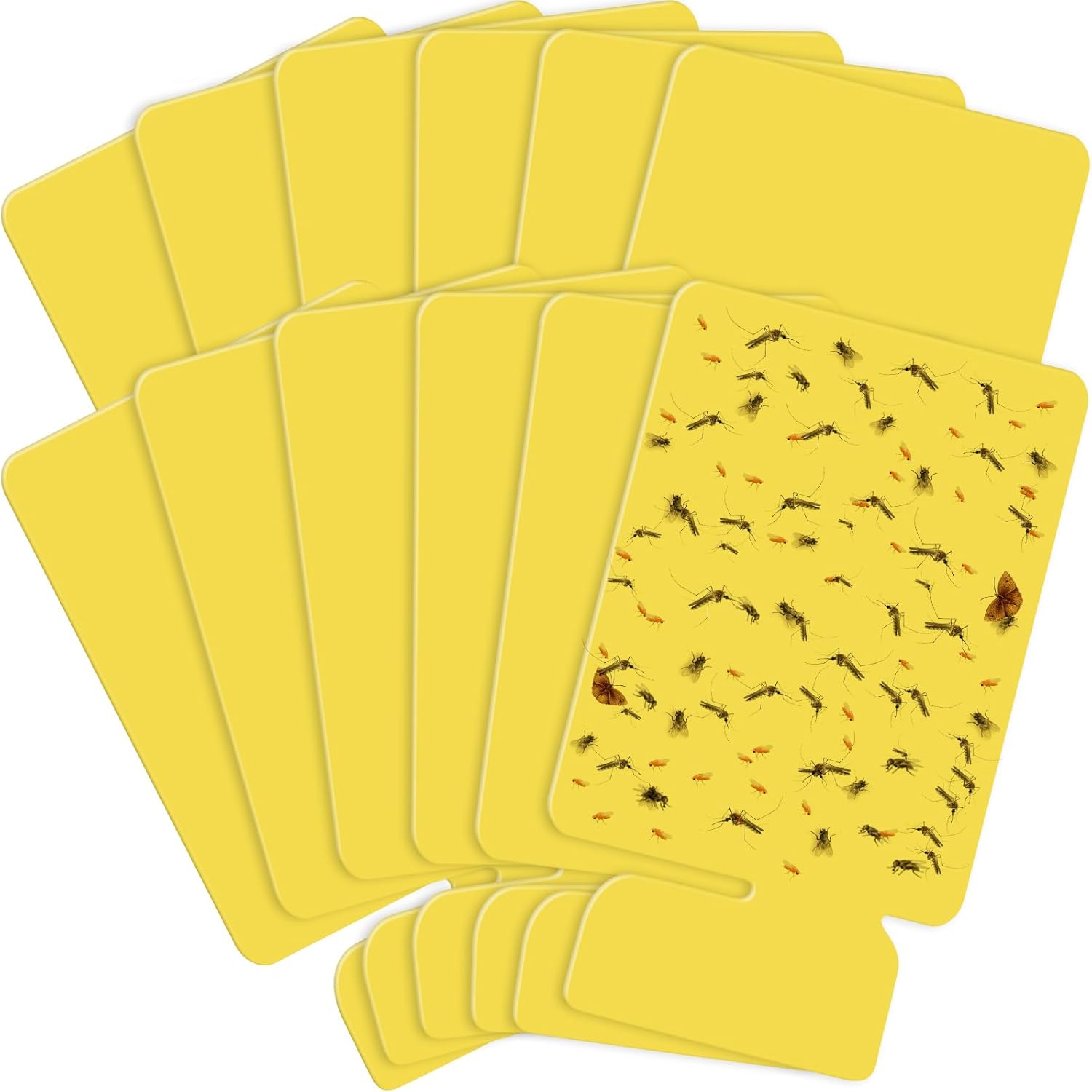 Amazon.com : Flying Insect Trap Refill Kit, Indoor Plug-in Fly Trap ...