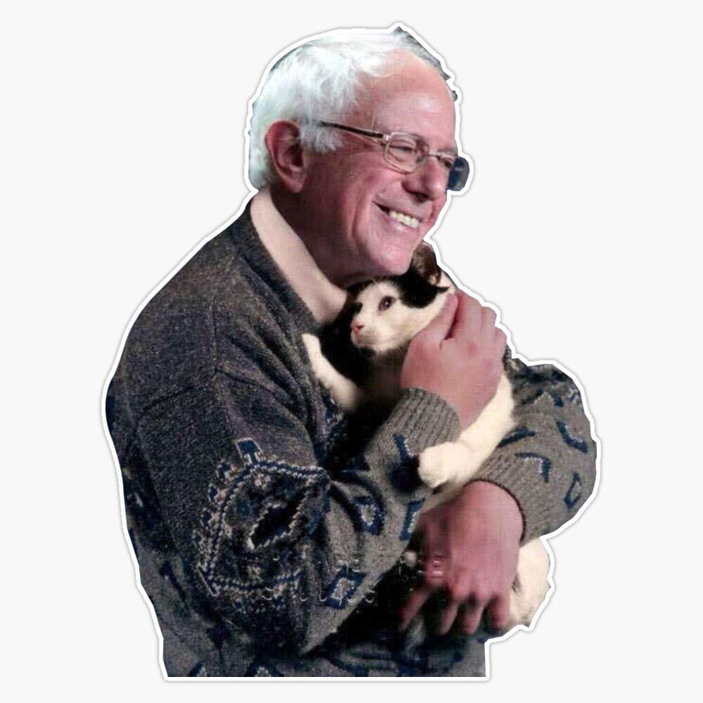 Bernie Sanders Dog