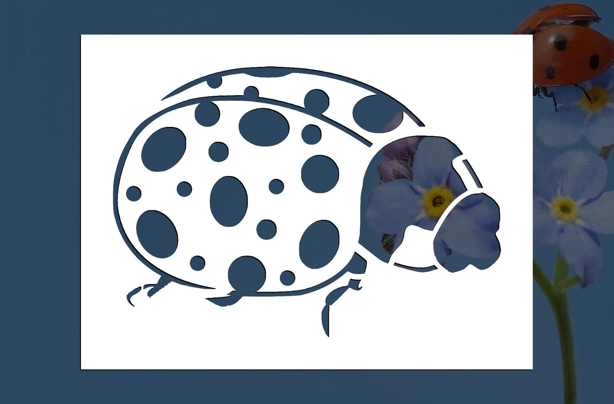 Ladybug Stencil Pattern