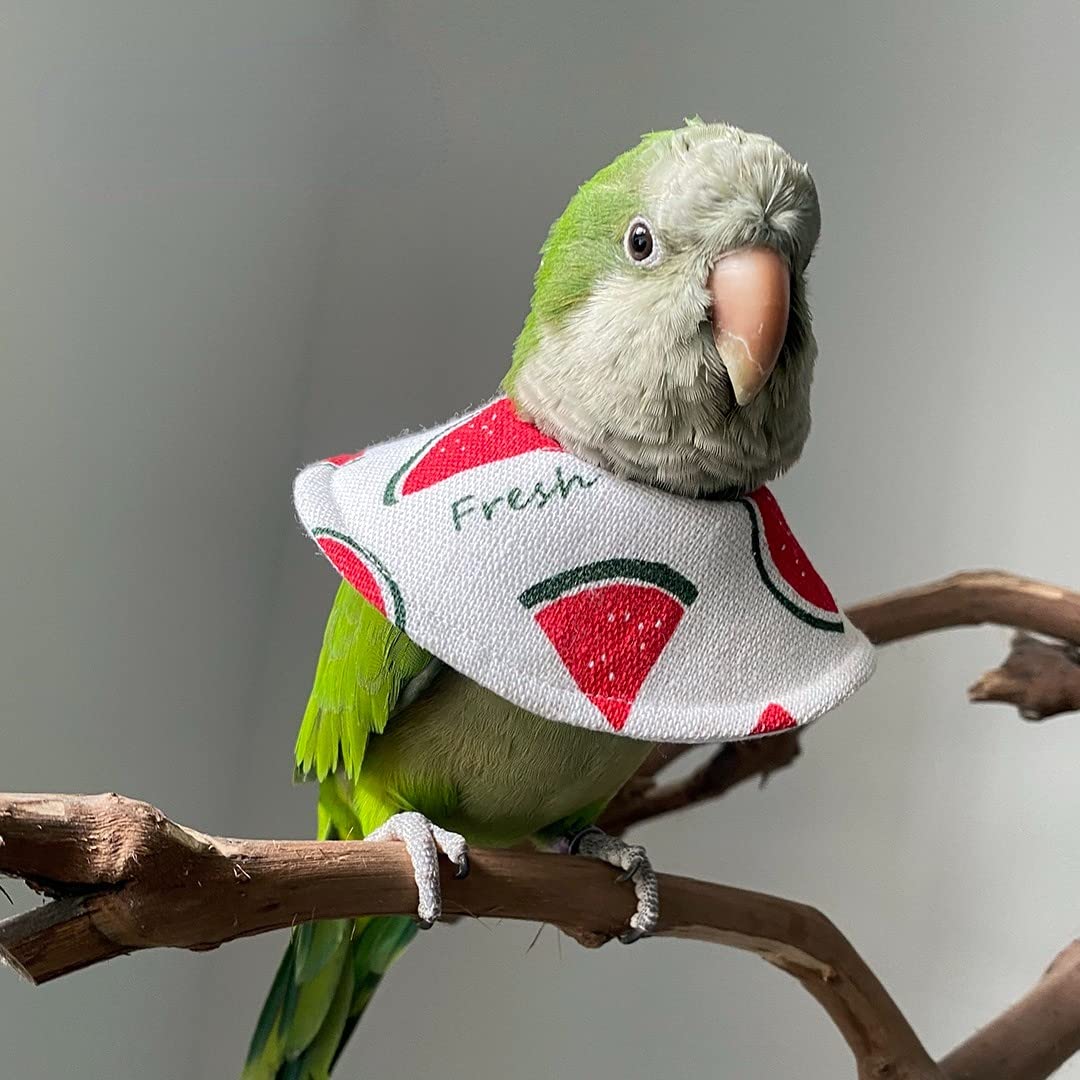 S/M/L Bird Recovery Collar Bird Elizabethan Collar Neck Rings Wound ...