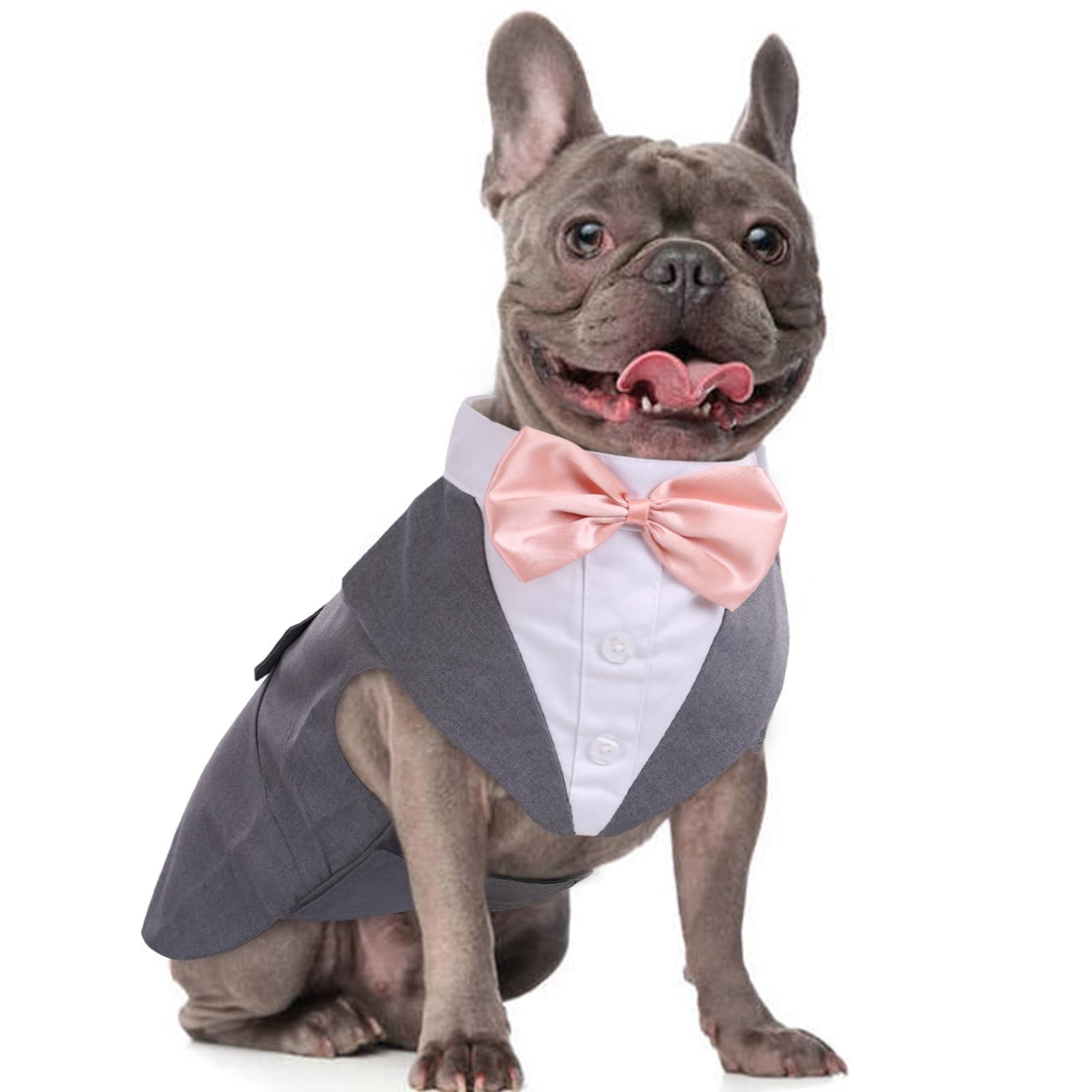 Dog Tuxedo Uk