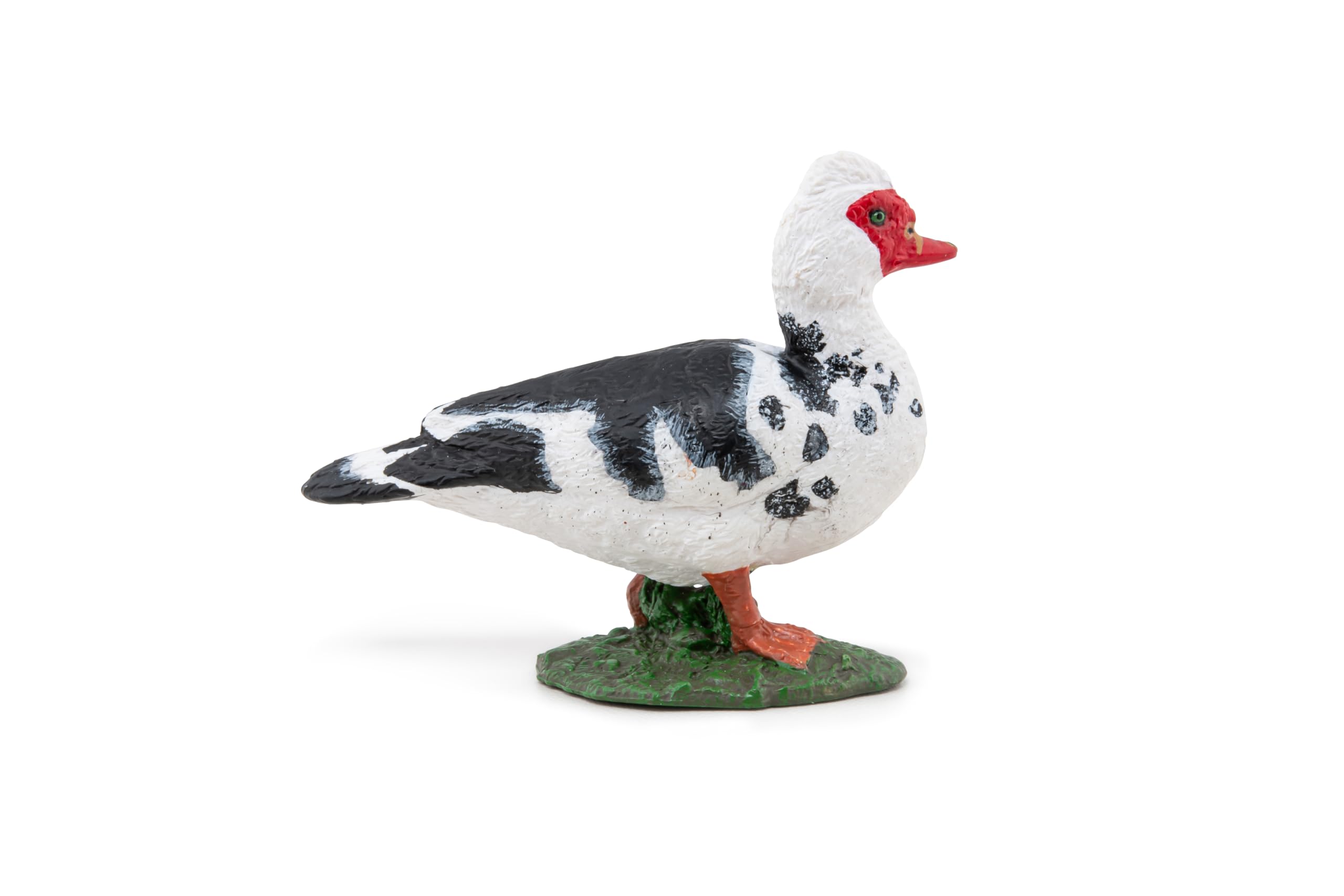 Papo – Hand painted – Animal Figure – Domestic Muscovy Duck – 51189 ...
