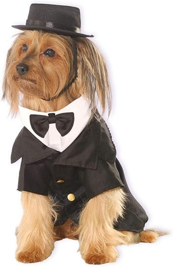 Amazon.com : Rubie's Dapper Dog Pet Costume, Large : Large Dog Shirt ...