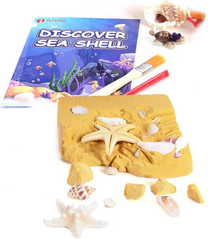 Amazon.com: iSTONE Jewelry Excavation Kit 20 Natural Sea Shell Starfish ...