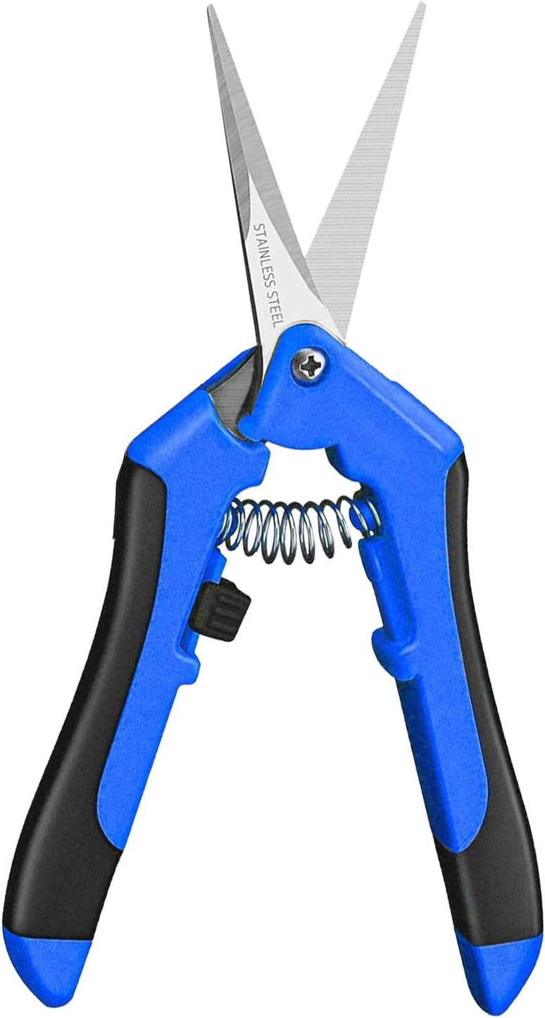 Amazon.com: ABAJI Gardening Scissor Sharp Stainless Steel Small Shears ...