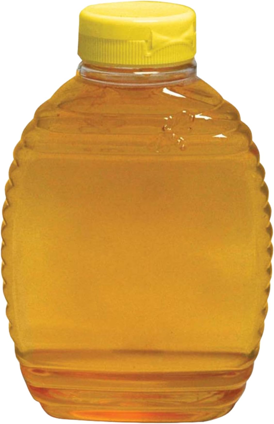 Amazon.com: Easy Squeeze 24Pk 12Oz Empty Honey Bottles. BPA-Free Food ...