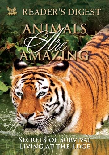 Amazon.in: Buy Animals Are Amazing: Secrets of Survival/Living on the ...