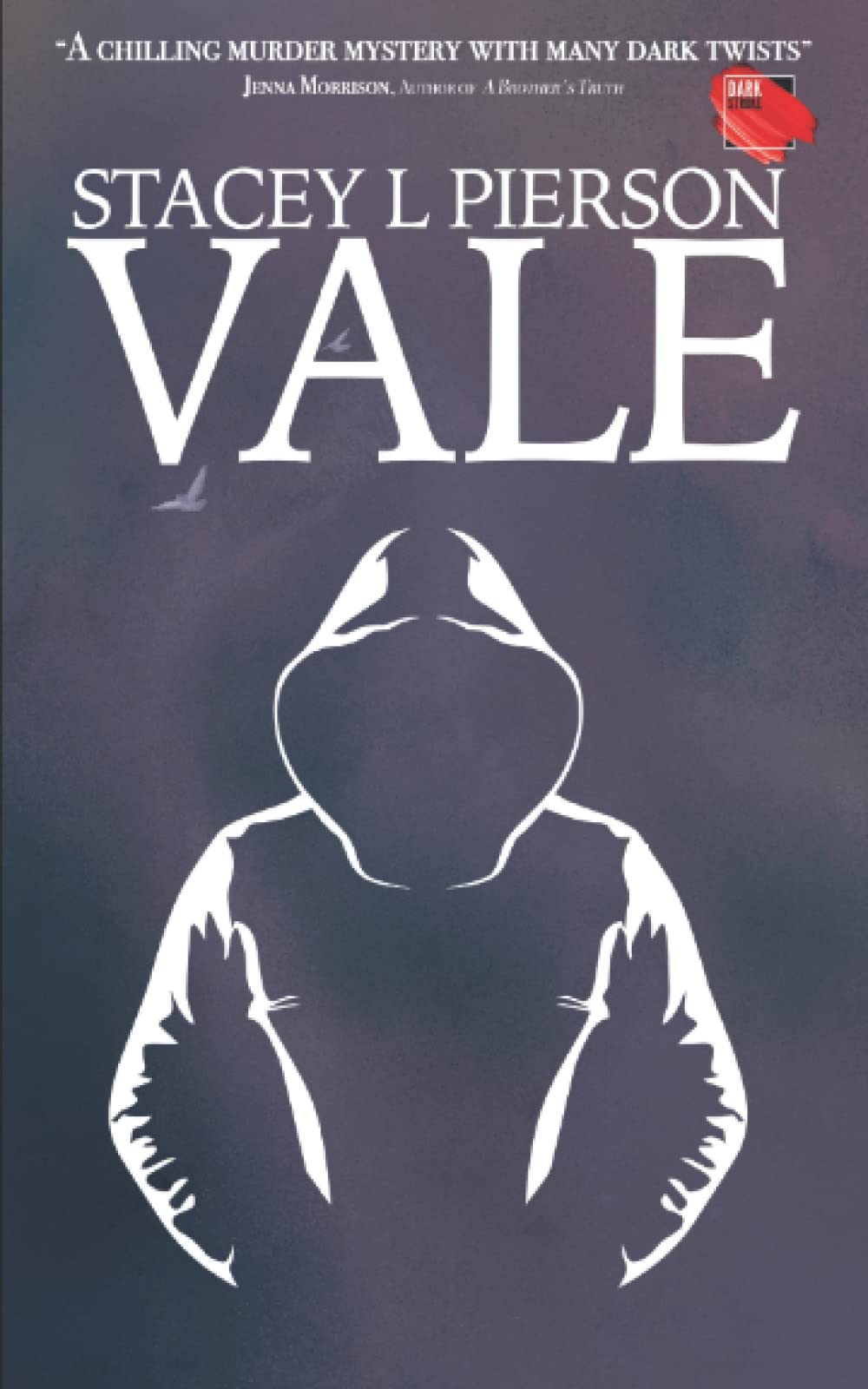 Vale: Pierson, Stacey L: 9798847230834: Amazon.com: Books