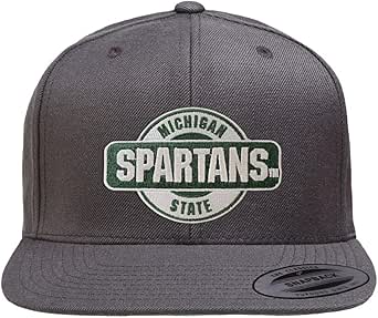 Michigan State University Officially Licensed MSU Spartans Patch ...