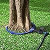 Amazon.com : 360° Tree Water Sprinkler,Tree Root Watering Tool,Water ...