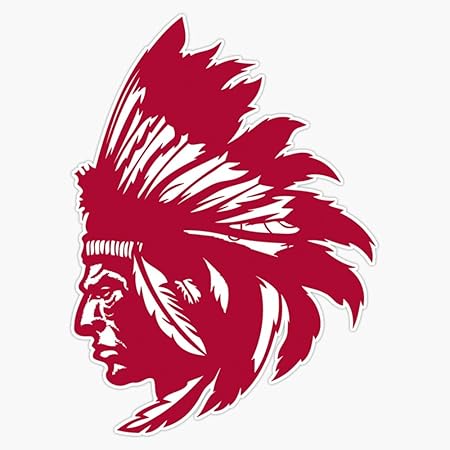 Amazon.com: Native Sticker Vinyl Waterproof Sticker Decal Car Laptop ...