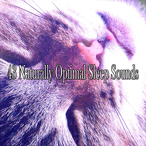 Amazon Music - Sleep Sounds of Natureの43 Naturally Optimal Sleep Sounds ...