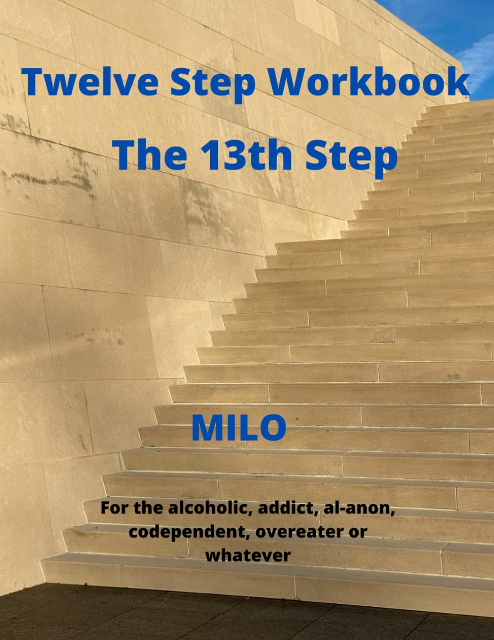 Twelve Step Workbook - 13th Step: Martin, Milo: 9798845851710: Amazon ...
