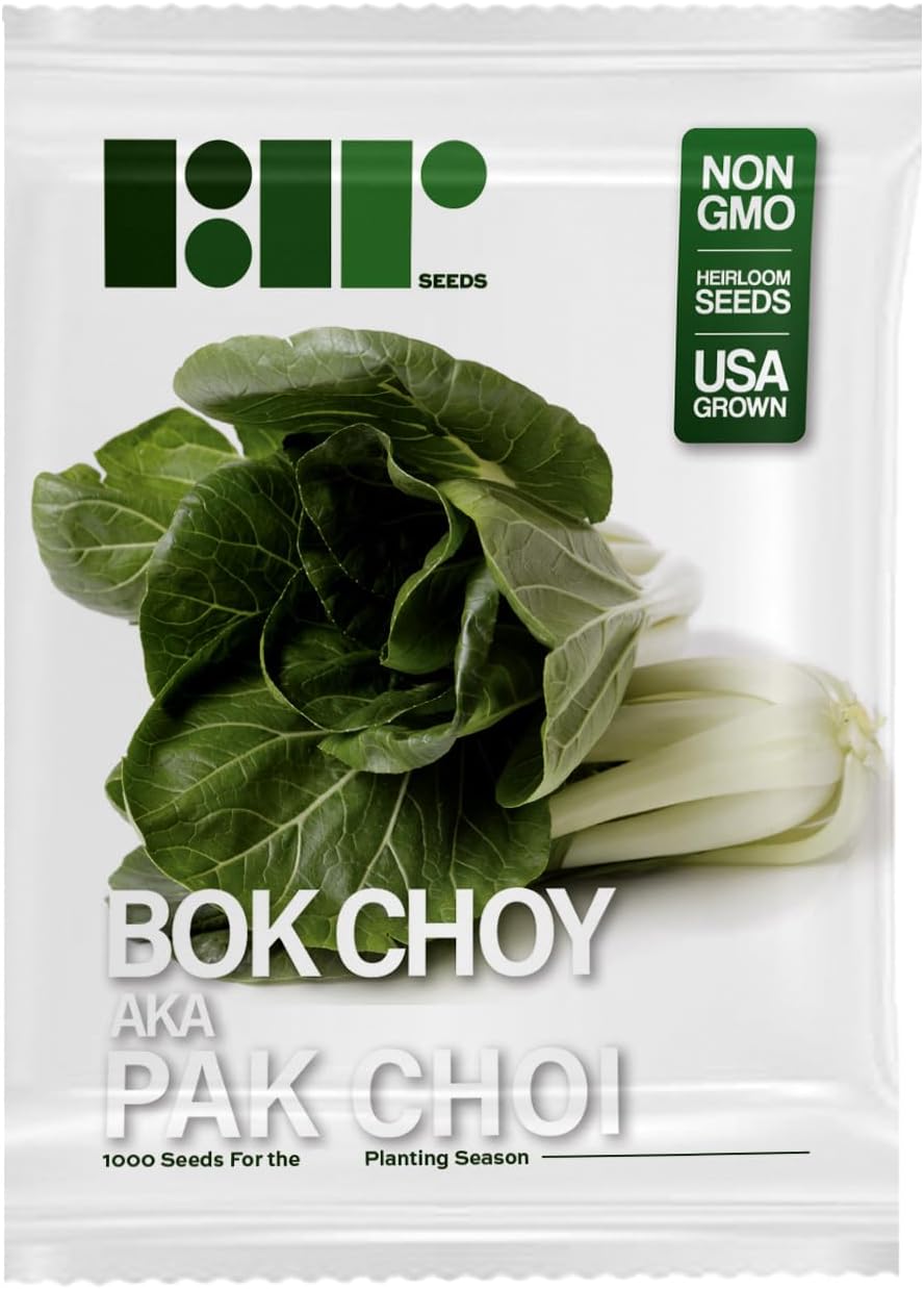 Amazon.com : 1000 Pak Choi Seeds for Planting - 3+ Grams - White Stem ...