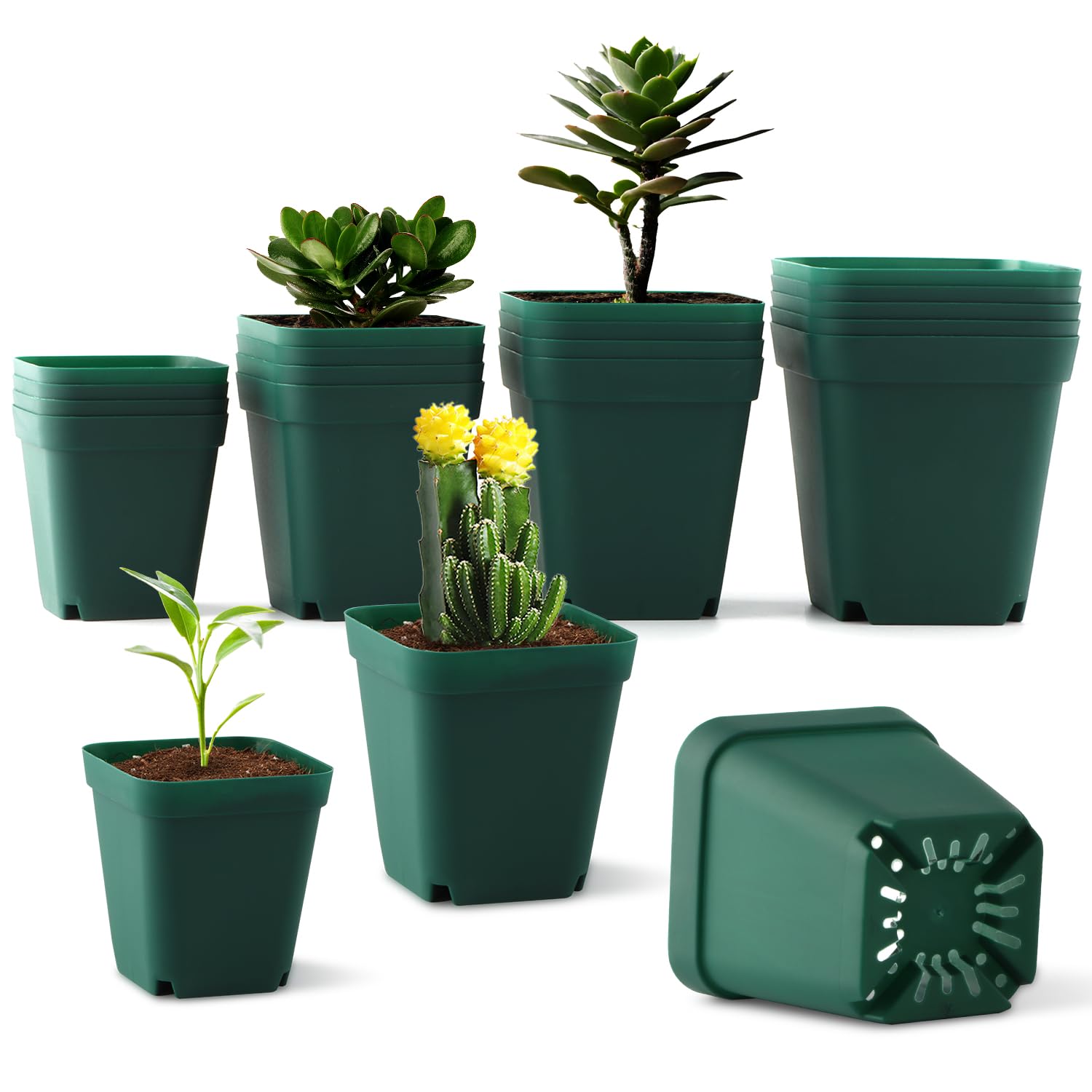 Amazon.com: Nursery Pots 20 Pcs, Plastic Seed Starting Pot with ...