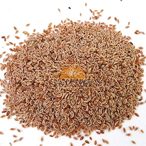 SriAmbassador Isabgol Seeds 1kg | Psyllium Husk Seed : Amazon.in ...