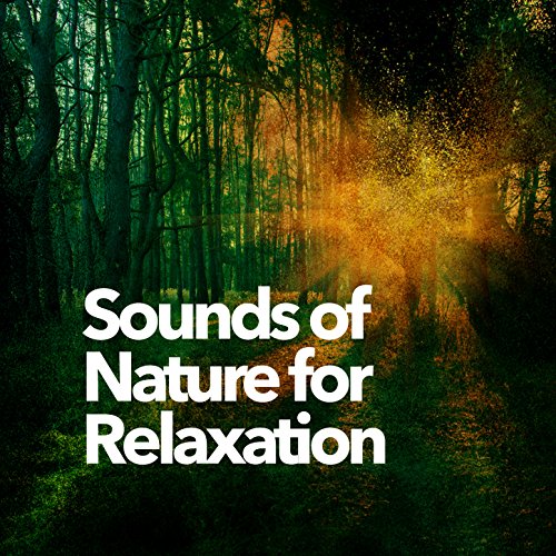 Play Sounds of Nature for Relaxation by Sounds of Nature Relaxation on ...