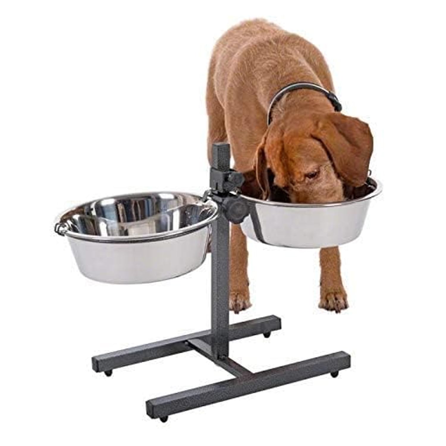 Berlin's Pets Elevated Adjustable Elevated Pet Feeder Raised Dog Bowls ...