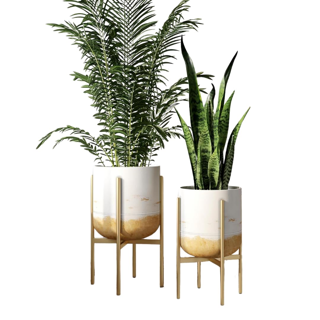 Paloma White and Beige Modern Indoor Planters, Terracotta Stone ...