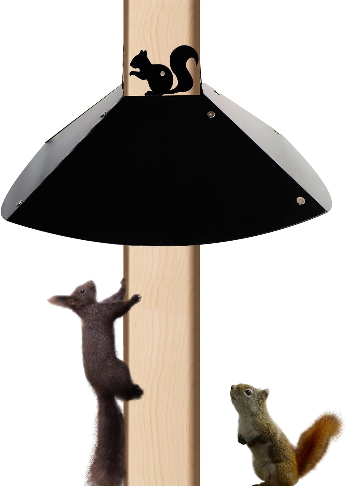 Amazon.com : Metal Squirrel Baffle for 4x4 Post, 17 Inch Squirrel Guard ...