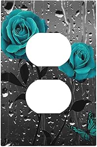 Amazon.com: GSRLOD 1-Gang Single Duplex Receptacle Wall Plate Outlet ...