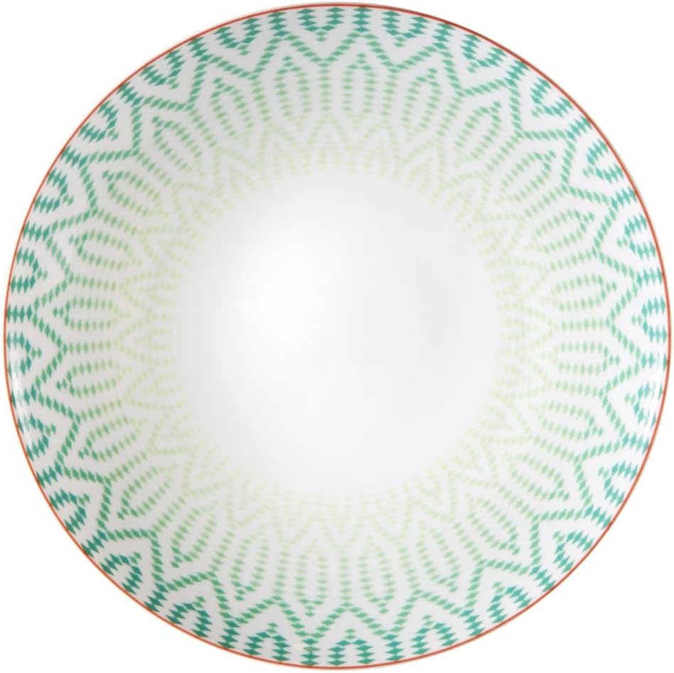 Amazon.com: Vista Alegre Fiji Dinner Plate, Set of 4 : Home & Kitchen