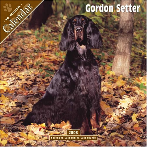 Gordon Setter 2008 Wall Calendar: Pet Prints: 9781846622878: Amazon.com ...