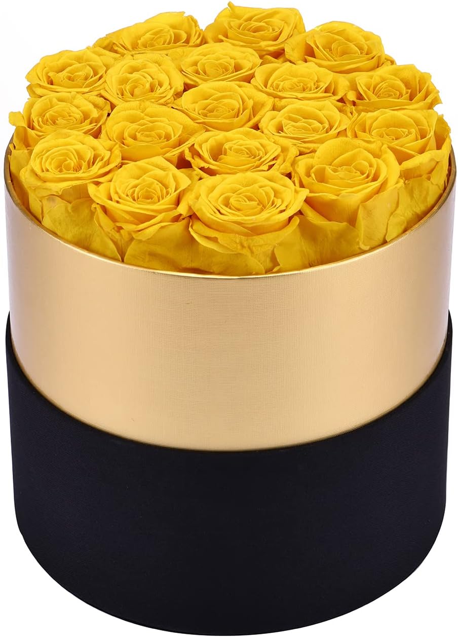 Amazon.com: Eterfield Preserved Roses That Last a Year Eternal Rose in ...