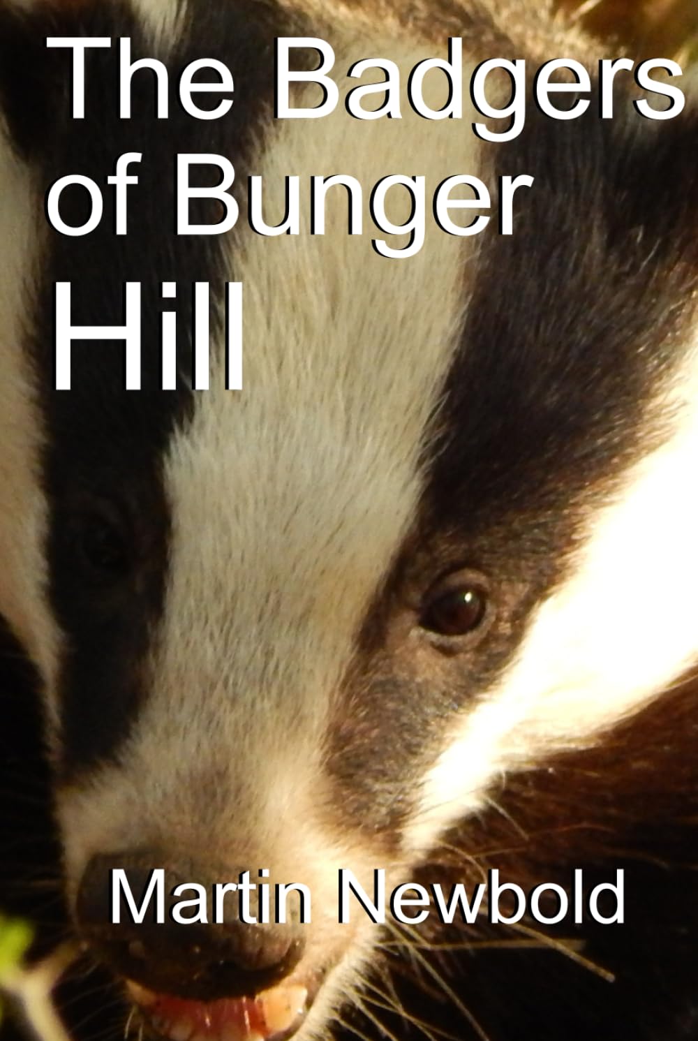 The Badgers of Bunger Hill: Amazon.co.uk: Newbold, Mr Martin ...