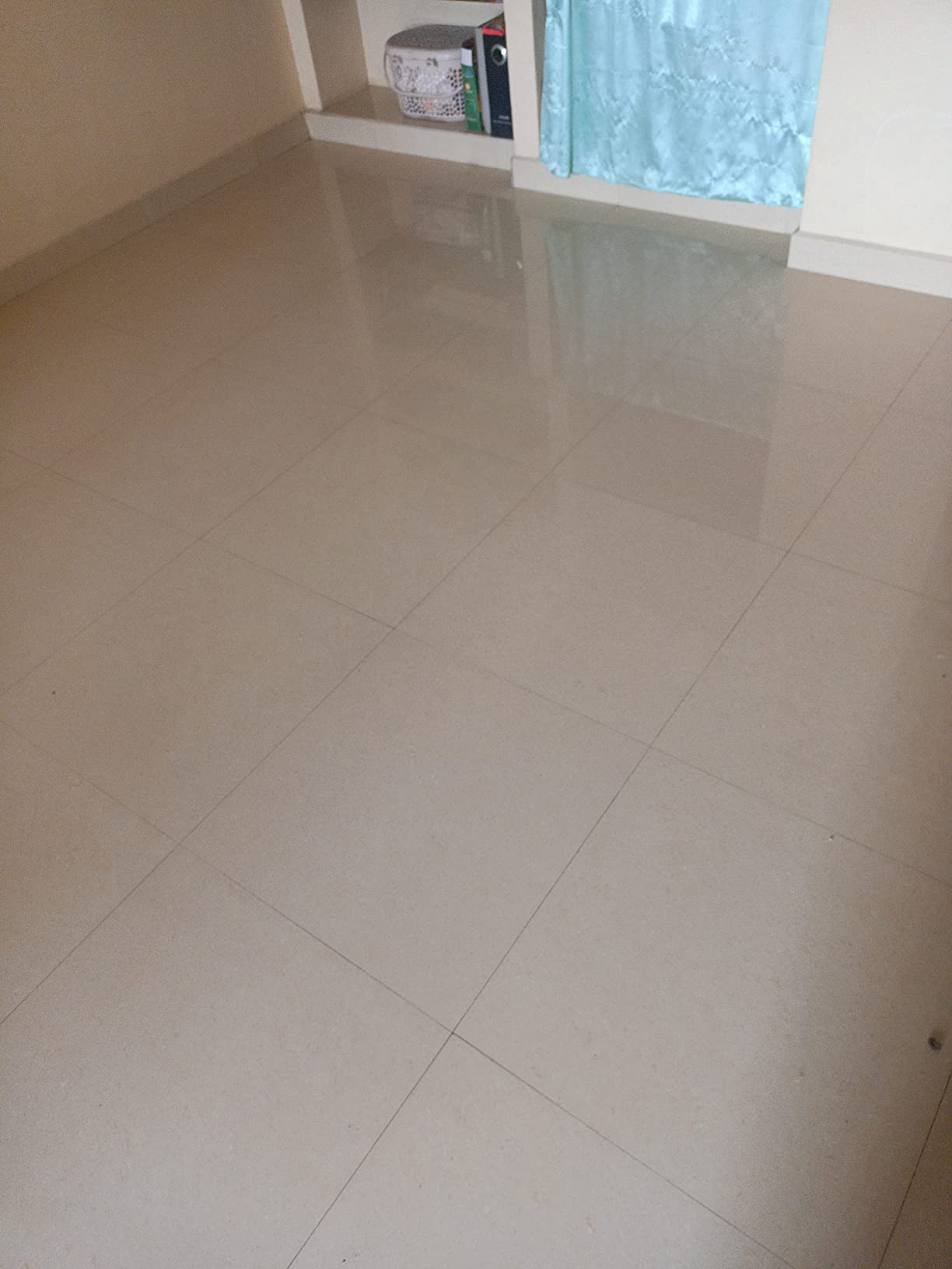 Purela floor cleaner liquid, Kills All Germs & Viruses To Makes ...